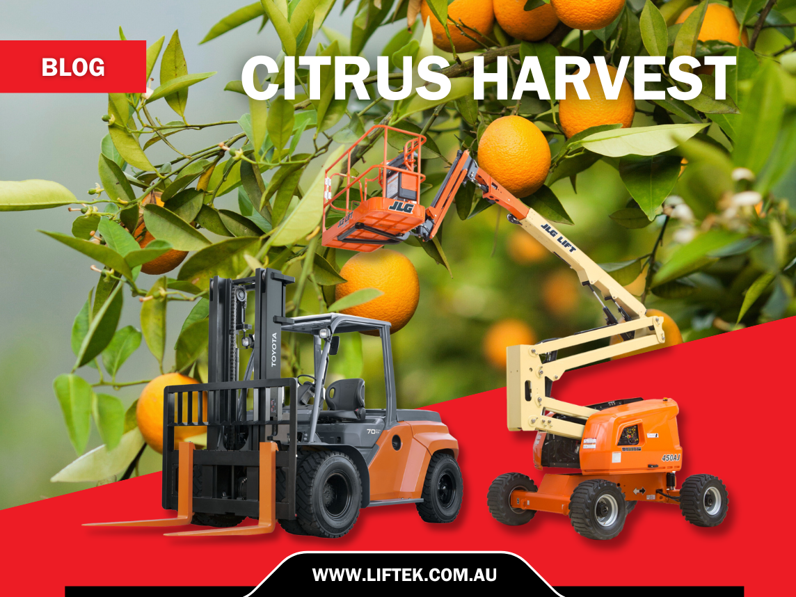 Liftek Griffith and Wagga | Support the Citrus Indusrty – Liftekgriffith